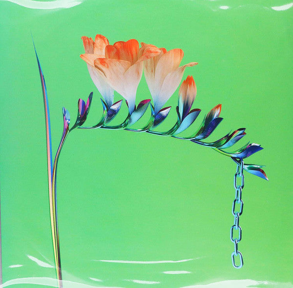 Flume - Skin Companion EP I - UNAVAILABLE – Morrow Records